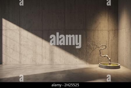 Empty room with potted plant bonsai; wooden floor. empty wall background with copy space ...