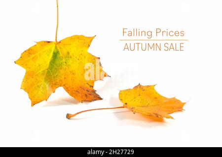 Autumn Sale text message with autumn maple leaves and pumpkins on ...