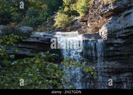 Mini waterfall of water stream from the forest Stock Photo - Alamy