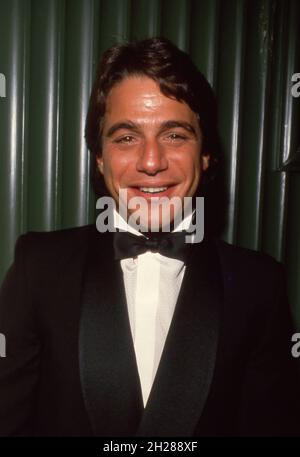 Tony Danza Circa 1980's Credit: Ralph Dominguez/MediaPunch Stock Photo ...