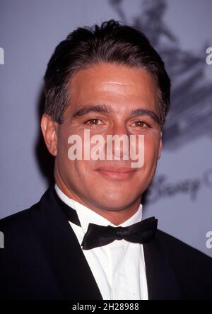 Tony Danza November 1991 Credit: Ralph Dominguez/MediaPunch Stock Photo ...