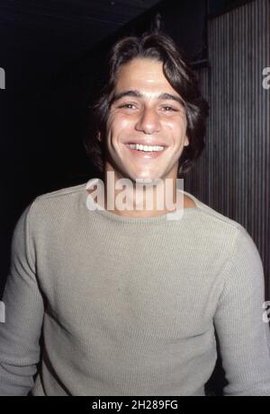 Tony Danza Circa 1980's Credit: Ralph Dominguez/MediaPunch Stock Photo ...