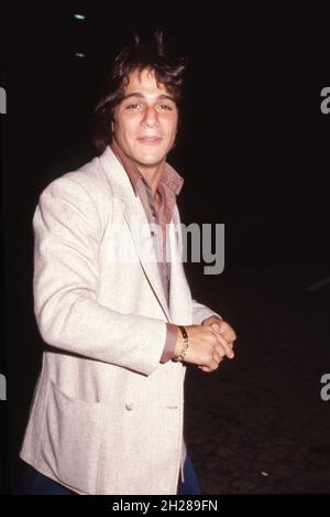 Tony Danza Circa 1980's Credit: Ralph Dominguez/MediaPunch Stock Photo ...