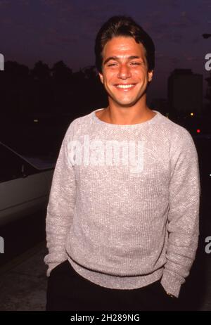Tony Danza Circa 1980's Credit: Ralph Dominguez/MediaPunch Stock Photo ...