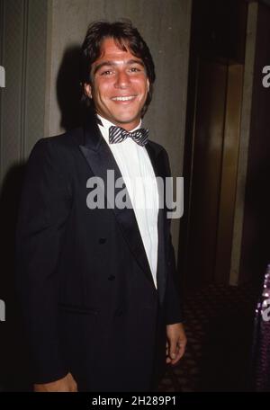 Tony Danza Circa 1980's Credit: Ralph Dominguez/MediaPunch Stock Photo ...
