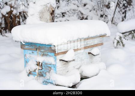 winter cluster is a well-defined cluster of honey bees that forms ...