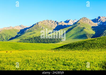 Nalati grassland with beautiful mountain natural landscape in Xinjiang ...