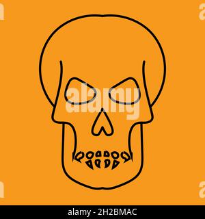 Anatomically Correct Human Skulls Set Isolated. Hand Drawn Line Art ...