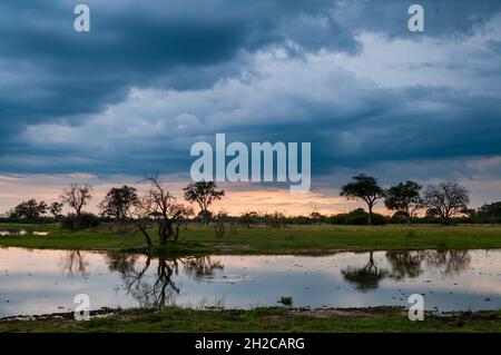 A thunderstorm approaching the Okavango delta. Khwai Concession Area ...