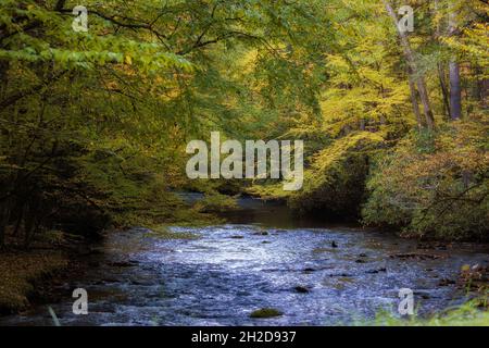 Autumn colors in the beautiful vallies of Big Cataloochee and Little ...