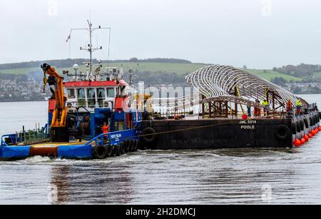 Tay Whale, Dundee Stock Photo - Alamy