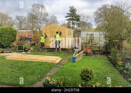 Workers from Solid Sheds Ltd erecting a wooden shed in a domestic ...
