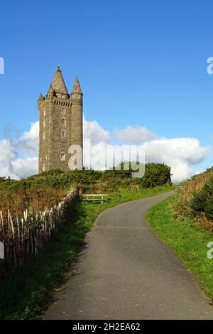 Scrabo Tower a folly on a hill above Newtownards with yellow gorse in ...