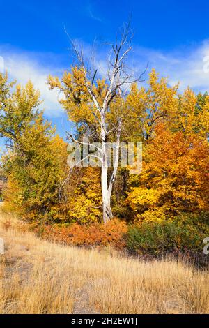 high contrast clouds on blue sky over natural landscape in summer at ...