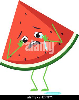 An illustration of Cute Watermelon Mascot Vector Character in Flat ...