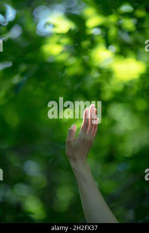 Hand reaching toward light Stock Photo - Alamy