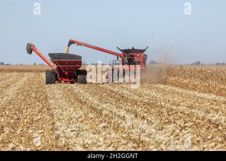 A combine harvesting corn in Henry County, Iowa Stock Photo - Alamy