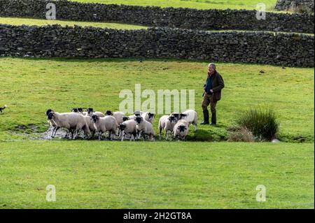 Ravenseat Farm, a Yorkshire Dales sheep farm and home to The Yorkshire ...