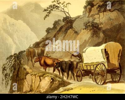 History. South Africa. Boer colonists and black south African. 1860 ...