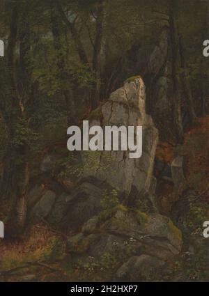 Tree Study, mid-1850s Stock Photo - Alamy