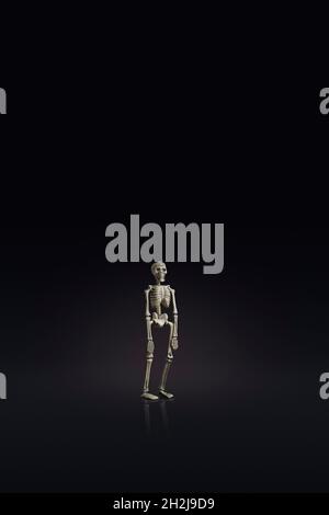 fake human full skeleton halloween concept Stock Photo - Alamy