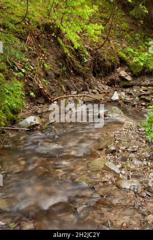 Stream flowing though a small valley Stock Photo - Alamy