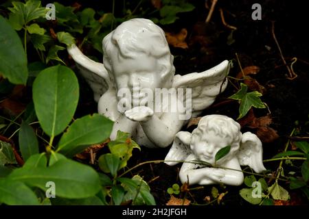 sweet angel figure on a grave in autumn with fallen leaves Stock Photo ...