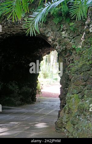groto on the azores island sao miguel Stock Photo - Alamy