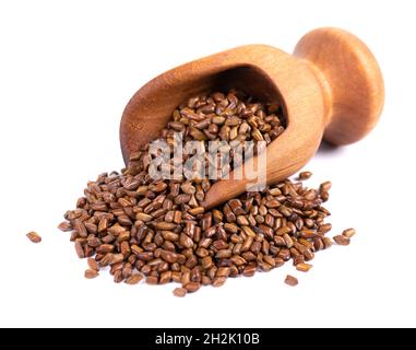 Cassia tora beans in wooden spoon, isolated on white background ...