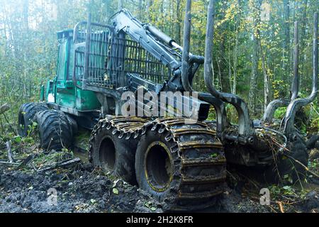 Swamp Logging Equipment
