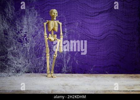 fake human skeleton on a cobweb wooden background Stock Photo - Alamy