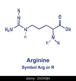 Arginine (Arg, R) amino acid molecule, it is used in the biosynthesis ...