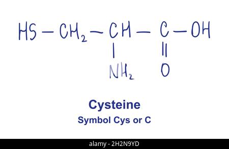 The amino acid Cysteine. Chemical molecular formula Cysteine amino acid ...