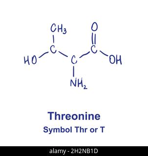 Threonine – Thr – T Amino Acid chemical structure. Molecular formula ...