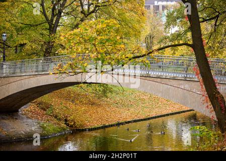 RIGA, LATVIA. 13th October 2021. Autumn in park Stock Photo - Alamy