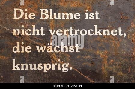 funny saying on metal sign. to grin Stock Photo - Alamy