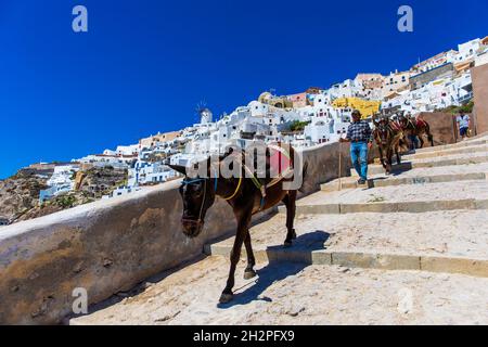 GREECE, SANTORINI. FIRA, KARAVOLADES STAIRS Stock Photo - Alamy