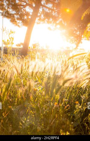 A beautiful landscape with morning sunlit Stock Photo - Alamy