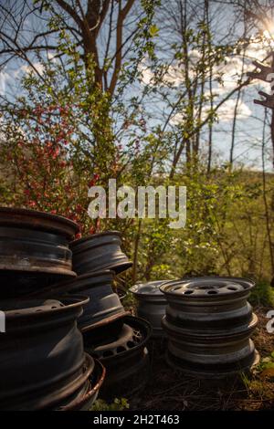 Pile of old steal rims thrown away into nature Stock Photo - Alamy
