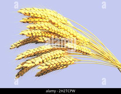 golden rye bundle, rural harvest isolated - nature 3D rendering Stock ...