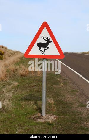 Deer Warning Sign in Scotland UK Stock Photo - Alamy