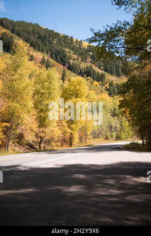Fall foliage on Independence Pass near Aspen, Colorado Stock Photo - Alamy