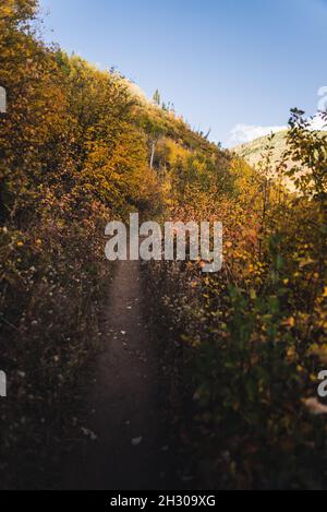 A trail in the mountains during fall Stock Photo - Alamy