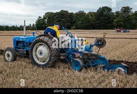 A vintage Fordson Dexta tractor UK built by Ford in the late 1950s ...