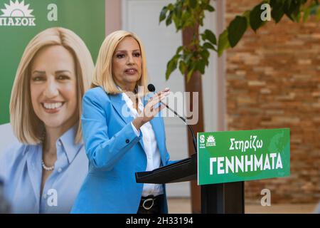 President of KINAL Fofi Gennimata met a speak with friends and ...