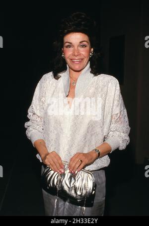 Annette Funicello Circa 1980's Credit: Ralph Dominguez/MediaPunch Stock ...