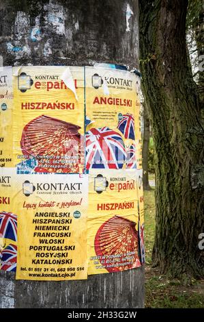 A poster, advertisement for an English Language school, course, using a ...