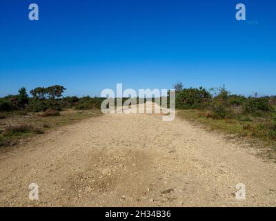 Old road at RAF Beaulieu an old WWII airfield, The New Forest ...