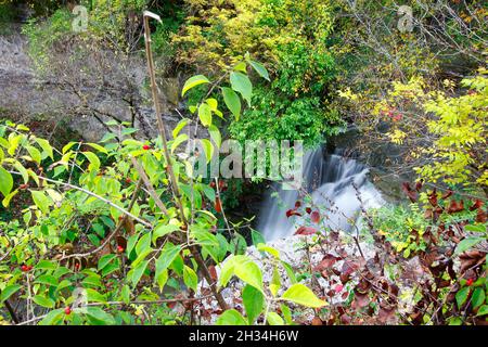 Hayden Run Falls Park in Autumn, Columbus, Ohio Stock Photo - Alamy