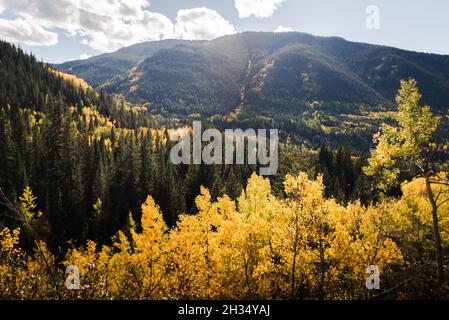 Fall foliage in West Vail, Colorado Stock Photo - Alamy